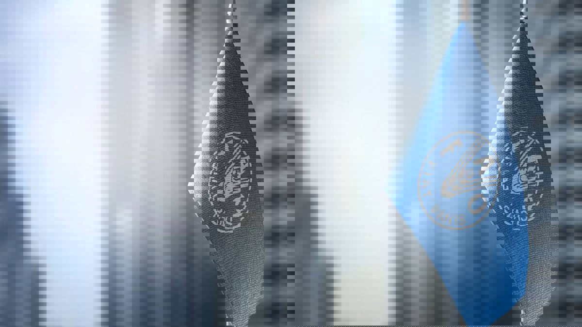 منظمة "فاو": تكاليف استيراد الغذاء ترتفع إلى مستوى قياسي خلال 2022 ...