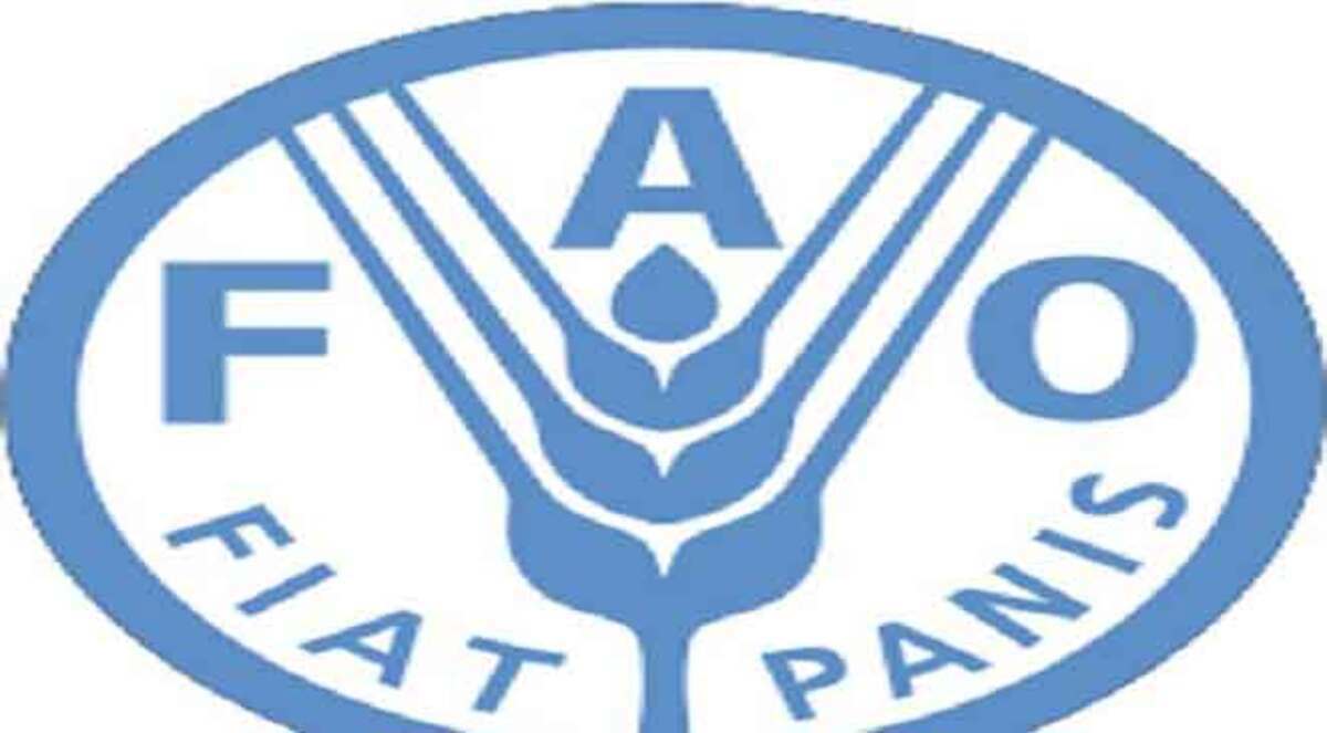 فاو: حرب اليمن تعرض محصول 2015 للخطر | إرم نيوز