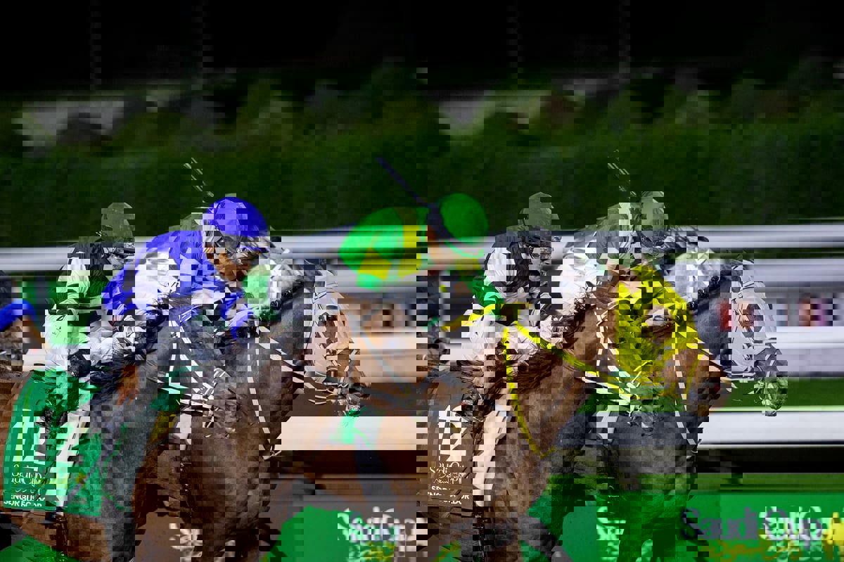 لحظات مثيرة من فوز حصان سعودي بأغلى سباق خيل في العالم (فيديو) | إرم نيوز